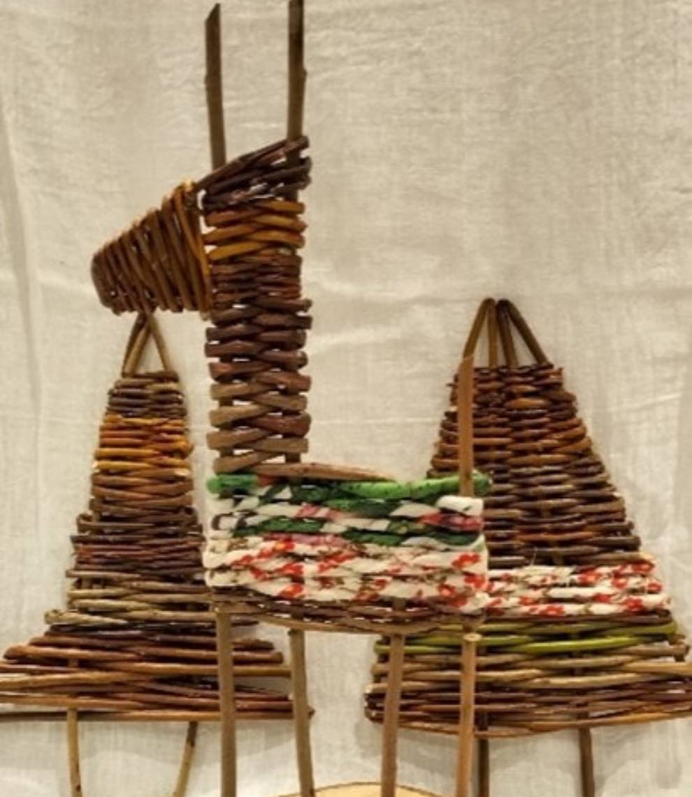 Seaton Wetlands Announces Exciting New Partnership with Earth Rights Collective to Deliver ...